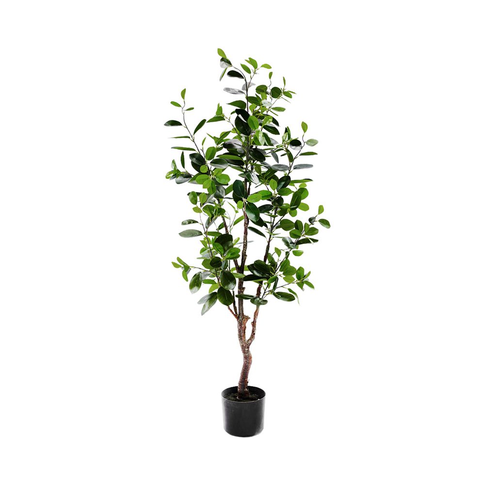 Jayla Potted Ficus Tree (120cm, 180cm) - SSFHOME