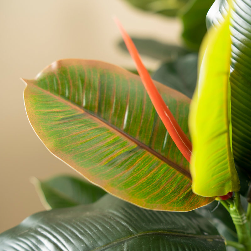 Sofia Artificial Potted Ficus Elastica . ATRWDA171107 - SSF Malaysia ...
